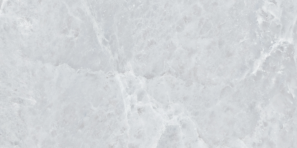 Himalaya Grey Silk 50X100